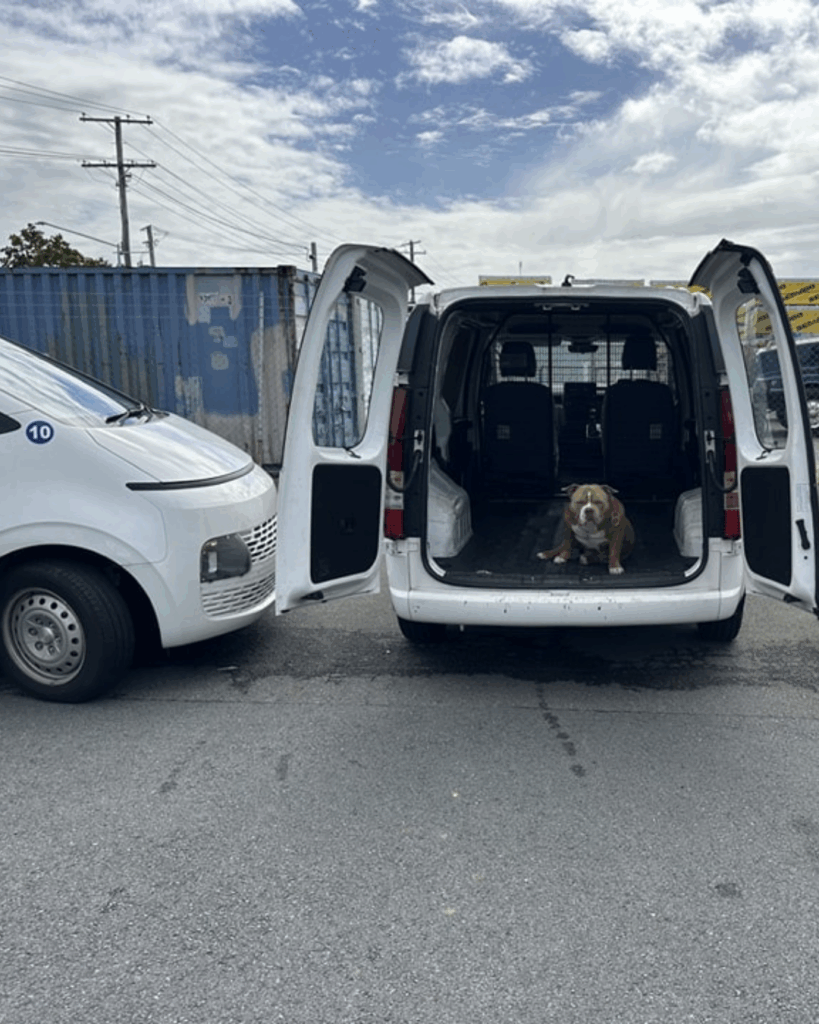 10 Everyday Situations Where Van Hire Can Save You Time and Money ...